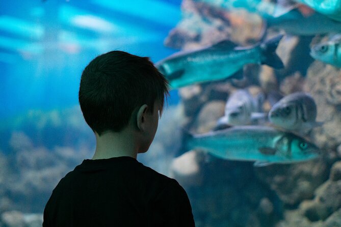 Corfu Aquarium Ticket with Tour Included - Key Points