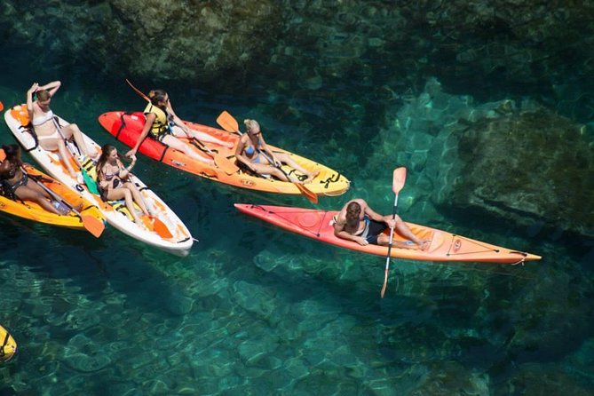 Costa Brava Kayaking and Snorkeling Small Group Tour with Lunch - An In-Depth Look at the Costa Brava Kayaking and Snorkeling Tour