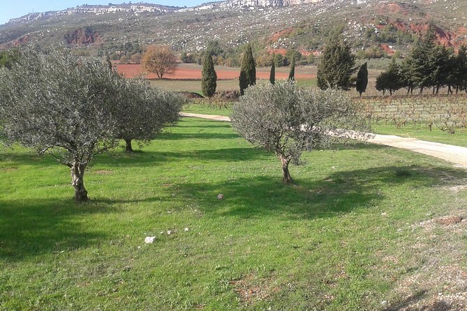Cotes de Provence Wine Tour from Aix-en-Provence - Introduction