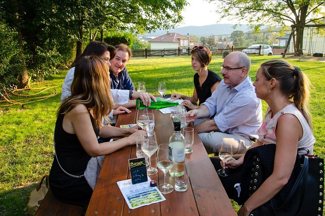 Countryside Half Day Wine Tour near Vienna - Introduction: A Genuine Look at a Highly Praised Wine Tour