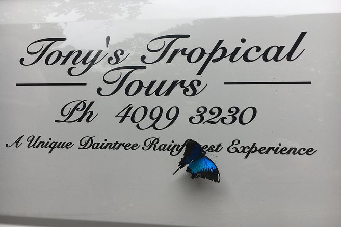 Daintree Rainforest, Mossman Gorge Small-Group from Port Douglas - Key Points