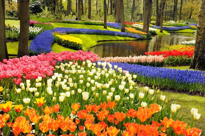 Day Trip to Keukenhof Gardens from Amsterdam with Tour Guide - Key Points