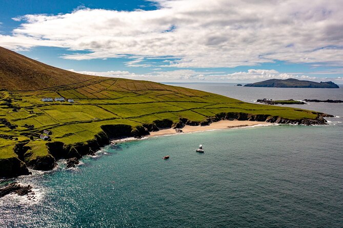Dingle Dolphin Blasket Adventures - Discover Dingle Dolphin Blasket Adventures: An Honest Guide