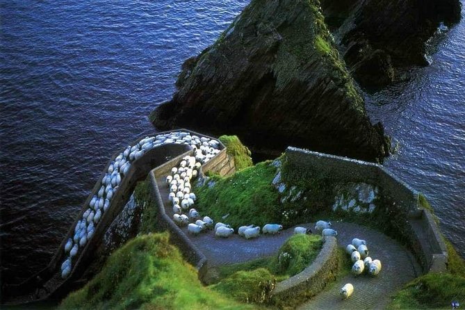 Dingle Peninsula Four Hour Private Tour - Why Choose This Tour? A Closer Look
