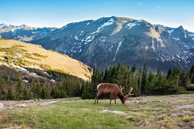 Discover Rocky Mountain National Park - Discover Rocky Mountain National Park: A Thorough Review