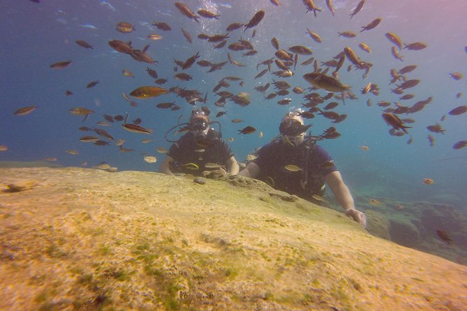 Discover Scuba diving - Discover Scuba Diving in Ayia Napa, Cyprus: A Practical and Personal Experience