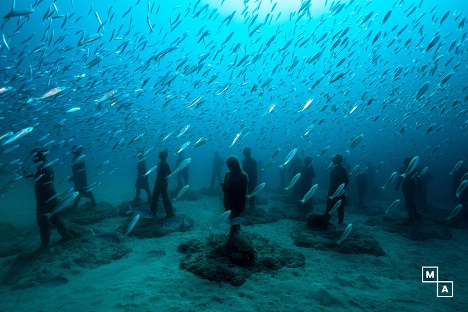 Discover the underwater world of Lanzarote - Key Points