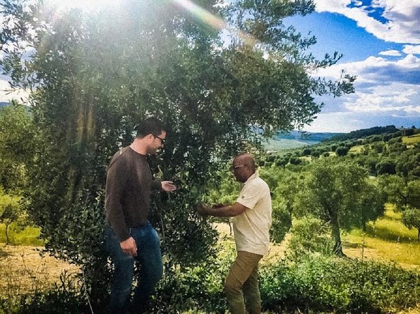 Discovering extra virgin olive oil - Discovering Extra Virgin Olive Oil in Vieste: An Authentic Taste of Italy