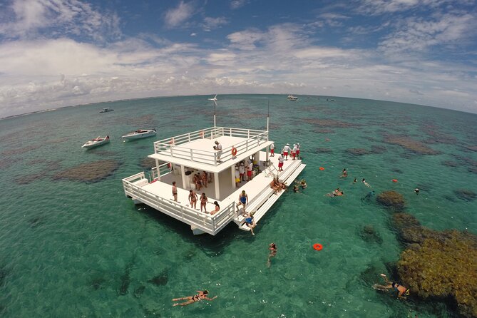 Diving in Maracajau (catamaran included) - From Christmas van - Why This Tour Is a Gladly Recommended Choice