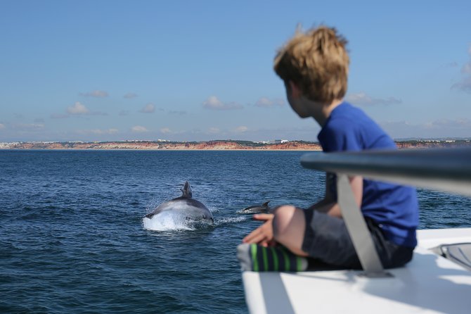 Dolphin Search - Dolphin Quest - Dolphin Search - Dolphin Quest Review: An Authentic Algarve Ocean Adventure