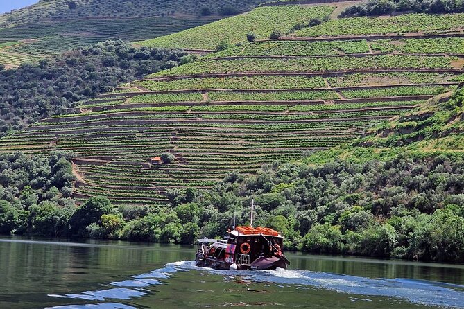 Douro Valley-Expert Guide-Boat-Lunch-Tastings Premium Service - Discovering the Douro Valley: An Authentic and Engaging Day Trip