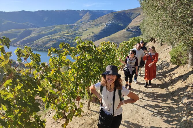 Douro Valley Premium Tours - Private Driver & Guide - A Closer Look at the Douro Valley Premium Tour – Private Driver & Guide