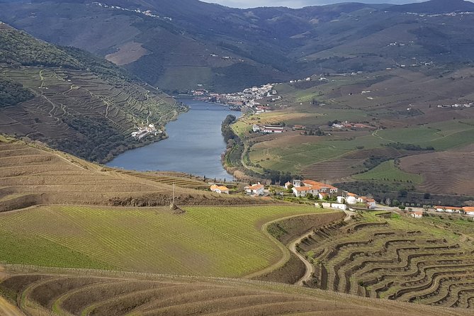 Douro Valley Tour: 2 Vineyard Visits, River Cruise, Winery Lunch - Starting Point: Convenient Departure from Porto