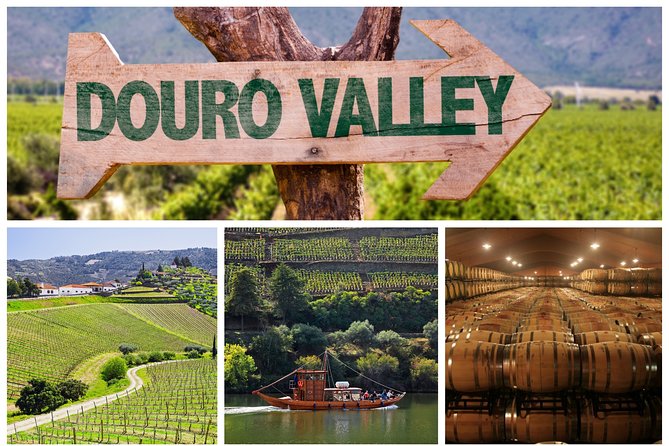 Douro Valley Tour: Wine Tasting, Cruise and Lunch from Porto - A Full-Day Taste of the Douro Valley: Wine, Views, and River Cruises