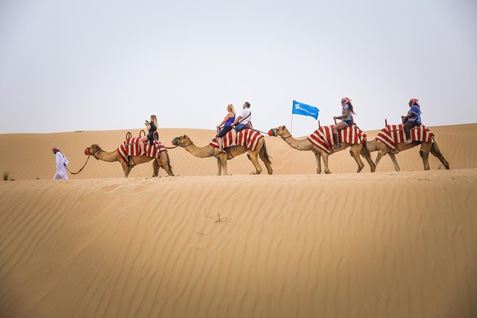 Dubai: Half-Day Desert Safari, Camels, Quad Bike & Refreshments - Key Points
