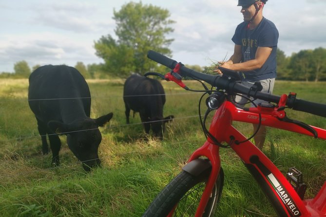 E-biking Central Forgotten Giants' s Adventure - A Deep Dive into the Experience
