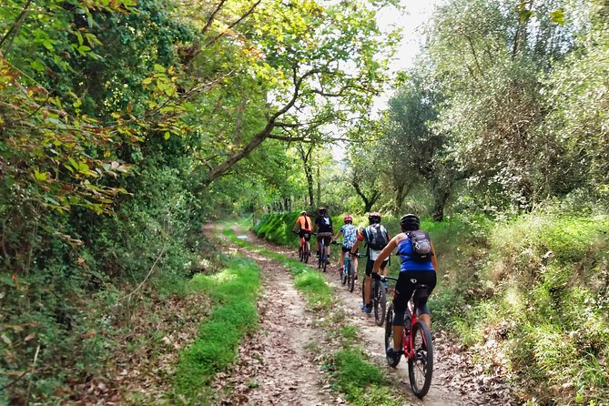 Eleftherna E-Bike and MTB Tour - Experience The Authentic Crete - Exploring the Eleftherna E-Bike and MTB Tour – The Authentic Crete Experience