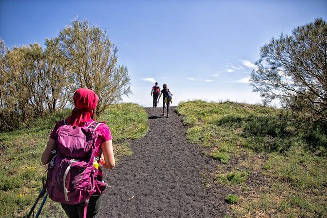 Etna Family Tour Excursion for families with children on Etna - Exploring the Etna Family Tour: A Practical Guide for Curious Families