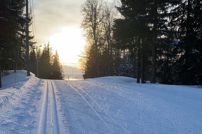 Experience Cross-Country Adventure in Tromsø - An Authentic Norwegian Winter Activity