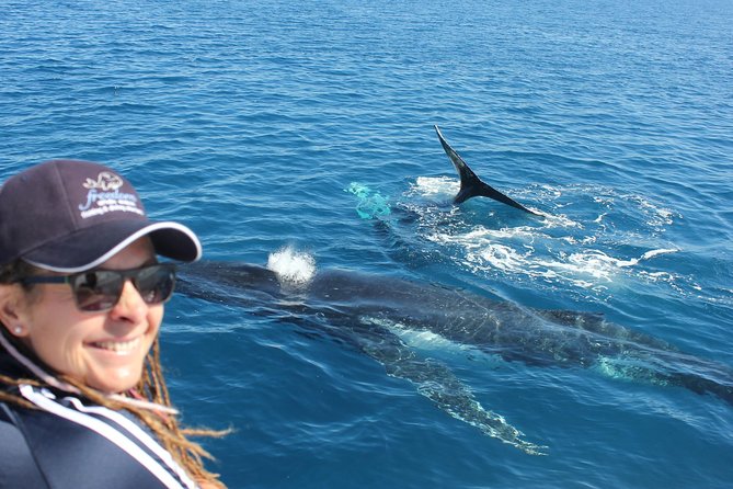 Freedom 3/4 Day Hervey Bay Premium Whale Watching Cruise - Key Points