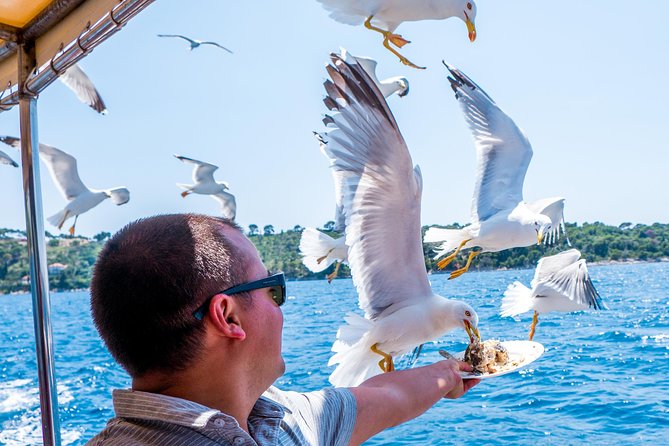 From Dubrovnik: Premium Three Island Cruise with lunch and drinks - Key Points