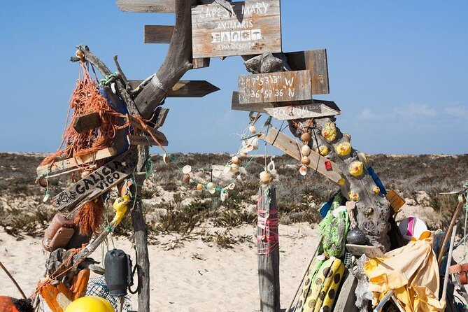 From Faro: Ria Formosa Eco Tour guided by Marine Biologist - Key Points