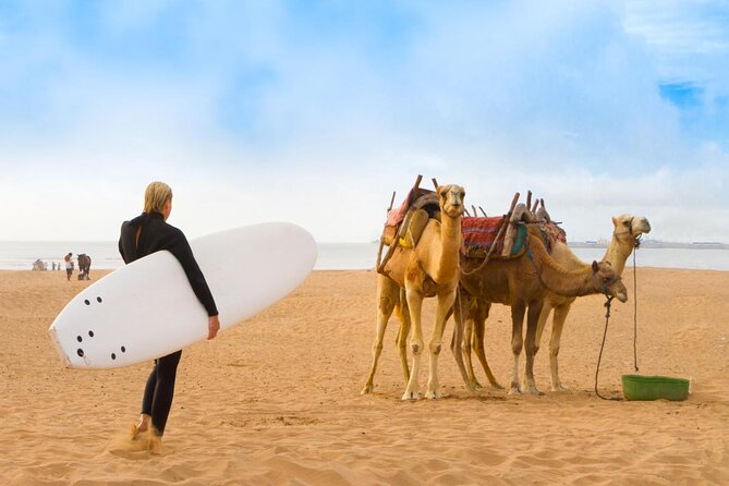 From Marrakech To Essaouira Mogador Full Day Trip | Small-group - Key Points