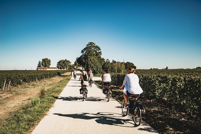 From Saint-Emilion : Electric Bike Day Tour with Wine Tastings and Picnic Lunch - What You Can Expect from the Tour: A Detailed Look