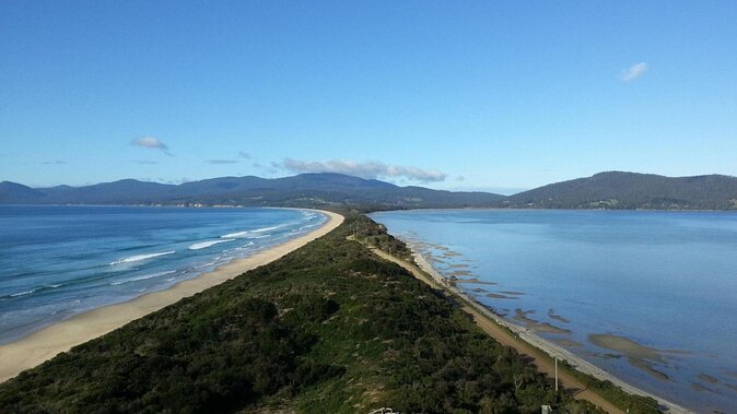 Full-Day Guided Bruny Island Tour from Hobart - An In-Depth Look at the Bruny Island Full-Day Tour