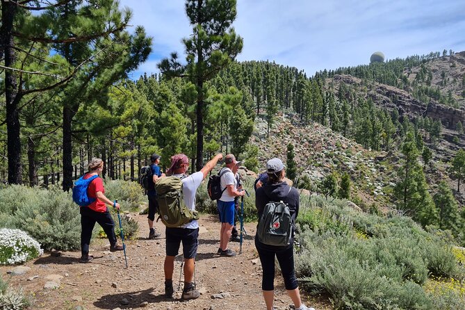 Full day Hiking Gran Canaria Peaks of Gran Canaria - Experience the Peaks of Gran Canaria: A Comprehensive Review