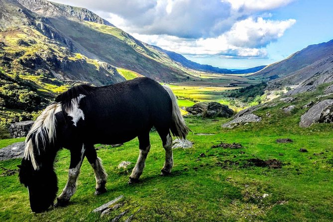 Full-Day North Wales Sightseeing Adventure from Manchester - Key Points