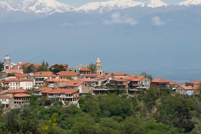 Full Day Private Wine Tour in Kakheti Region with Lunch and 3 Wine Tastings - Introduction