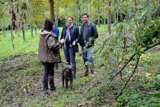 Full-Day Small-Group Truffle Hunting in Tuscany with Lunch - Authentic Tuscany Truffle Hunting and Wine Experience: An In-Depth Review