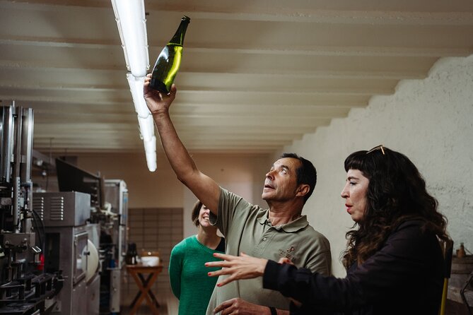 Full-Day Trip Barcelona to Montserrat Monastery & Cava Winery - Exploring Vineyards and Savoring Authentic Cava