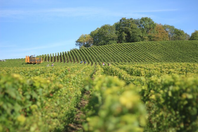 Full Rioja Wine Tour with Lunch from San Sebastian Private Tour - Key Points