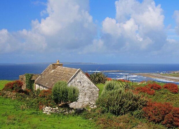 Galway to Cliffs of Moher, Aillwee Cave & Dunguaire Castle Tour - Exploring the Galway to Cliffs of Moher, Aillwee Cave & Dunguaire Castle Tour