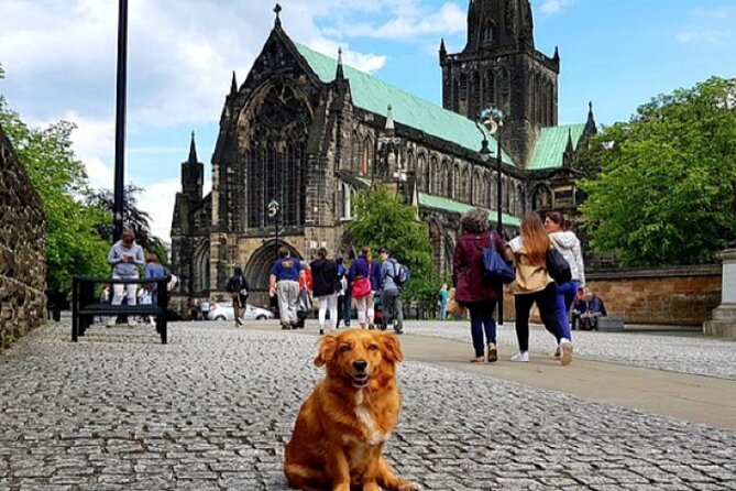 Gander Walking Tours in Glasgow - An In-Depth Look at the Tour Experience