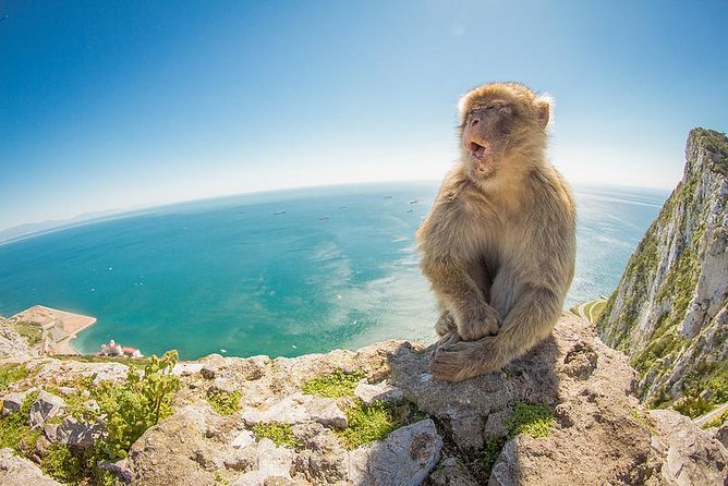 Gibraltar Day Trip from Seville - Gibraltar Day Trip from Seville: An In-Depth Look