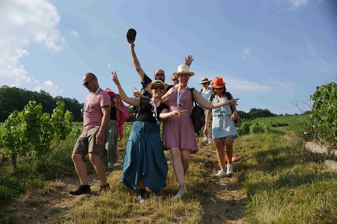 Gourmet walk in the heart of the vineyards with Champagne tasting near Epernay - A Guide to the Gourmet Walk in the Heart of the Vineyards near Épernay