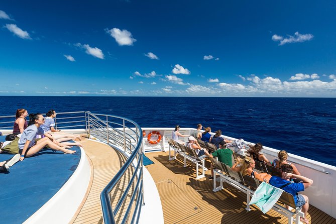 Great Barrier Reef Snorkeling and Diving Cruise from Cairns - What We Love About This Reef Tour