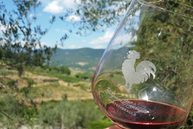 Greve in Chianti Wine Tasting and Winery Tour - A Warm Welcome to Chianti’s Organic Family Winery