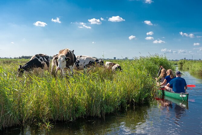 Guided Canoe Adventure with Picnic Lunch in Waterland from Amsterdam - Key Points