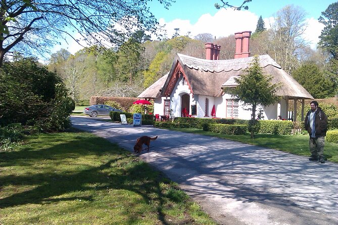 Guided Killarney National Park Walking Tour - Discovering Killarney’s Heart: What to Expect on the Tour