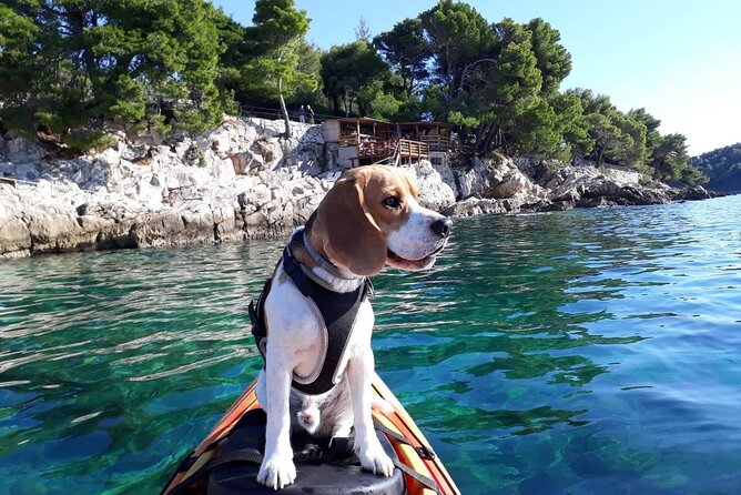 Guided Sea Kayaking Tour in Cavtat - Guided Sea Kayaking Tour in Cavtat: An Authentic Adventure on Croatia’s Coast