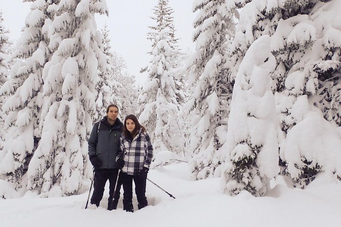 Guided Snowshoe Walk on Tromsoya Island in Tromso - Key Points