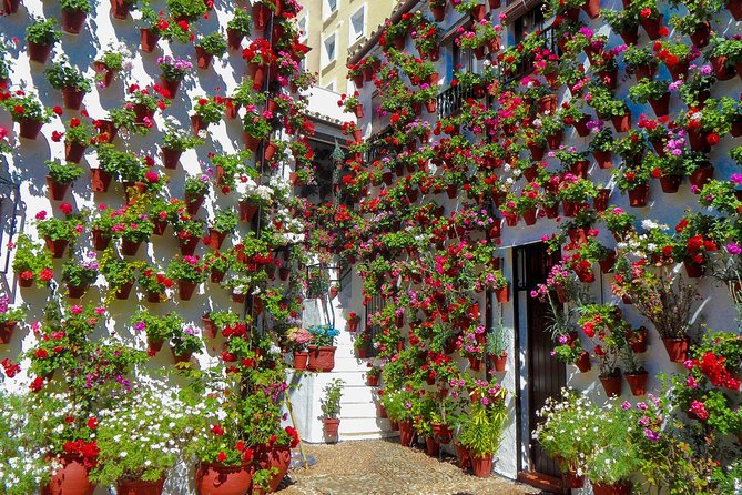Guided Tour to the Popular Patios of Cordoba - Introduction