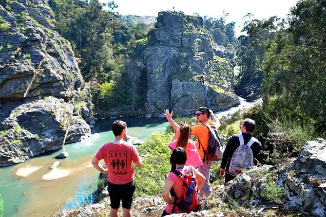 Half-day Hike & Picnic with Dog Love in Porto's Mountains - A Fresh Take on Porto: The Half-day Hike & Picnic with Dog Love