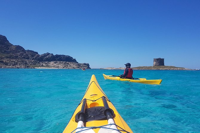 Half Day Sea Kayak Trip - Introduction