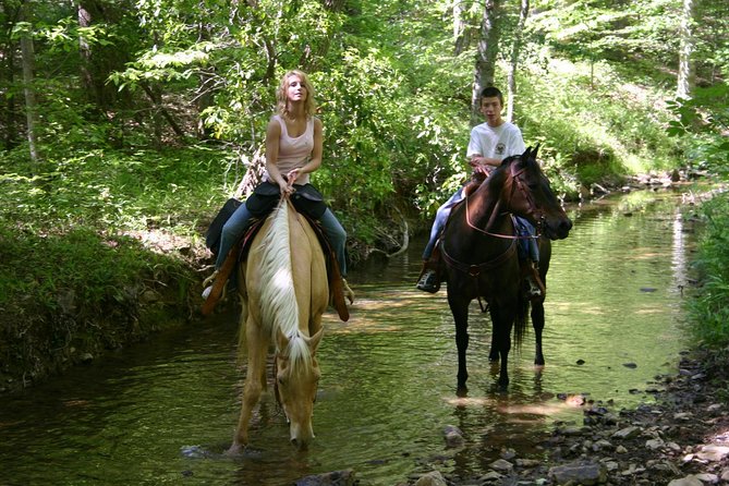 Horse Riding Experience in Marmaris with Transfer - The Sum Up