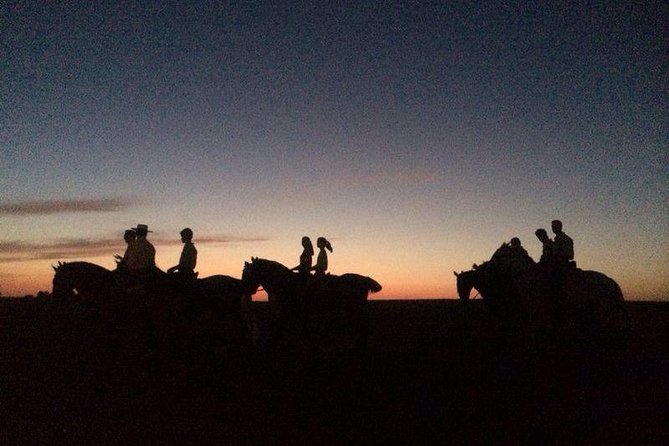 Horseback riding around Doñana - What to Expect from the Horseback Riding Tour
